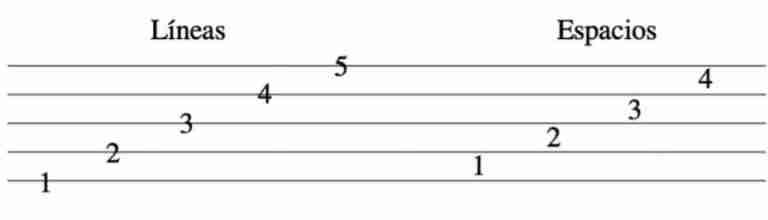 Cómo Leer Partituras De Piano: Guía En 7 Pasos + PDF GRATIS
